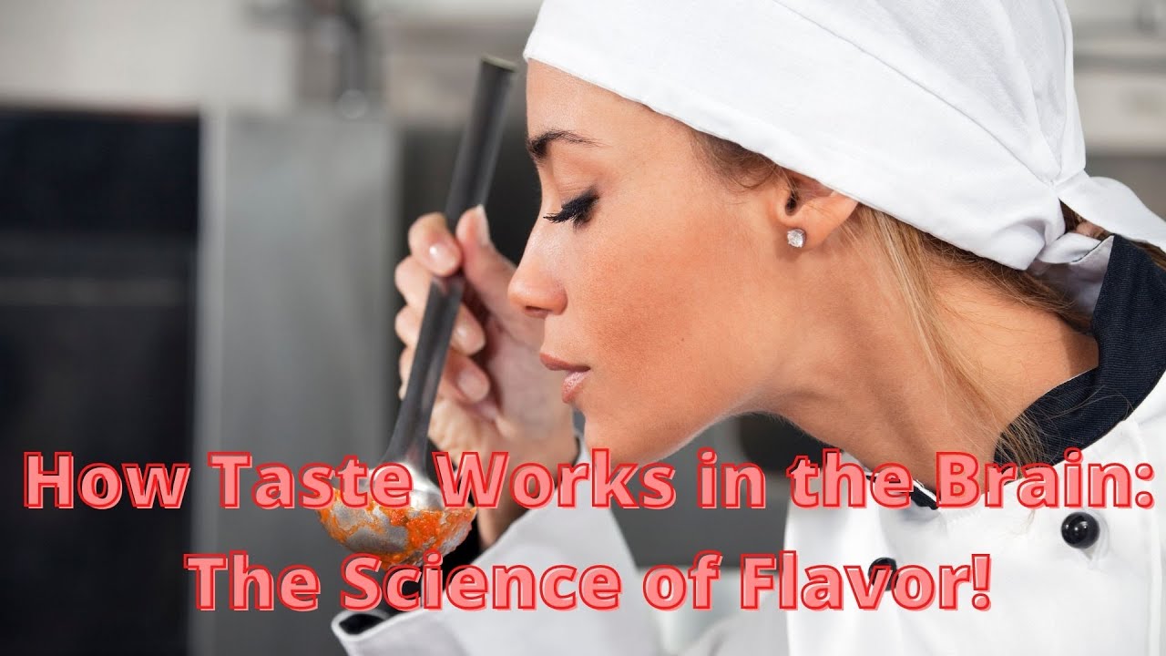 How Taste Works in the Brain the Science of Flavor - YouTube