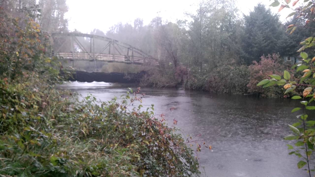 Rainy bridge - YouTube