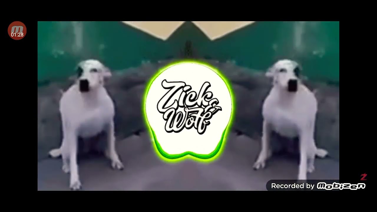 chillido de perro remix recopilacion de zickmusic - YouTube