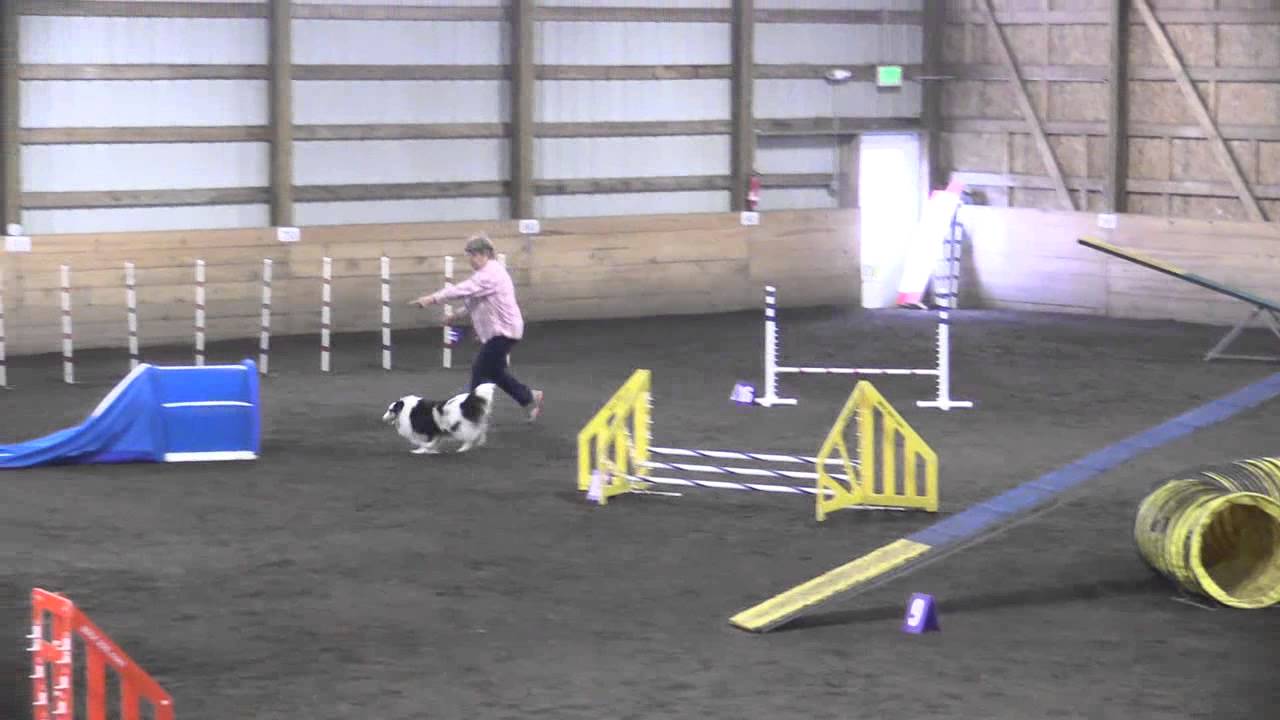 12 IAN HOSTETLER SAT OPN STND PSPC 4 25 2015 23 - YouTube
