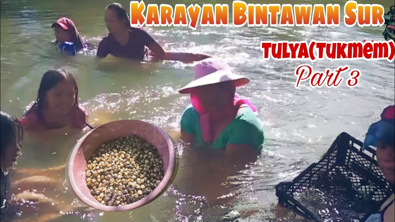 PAGKUHA NG TULYA SA KARAYAN | ILOG NAKARAMI BA? | JOHN & PING VLOGS # ...