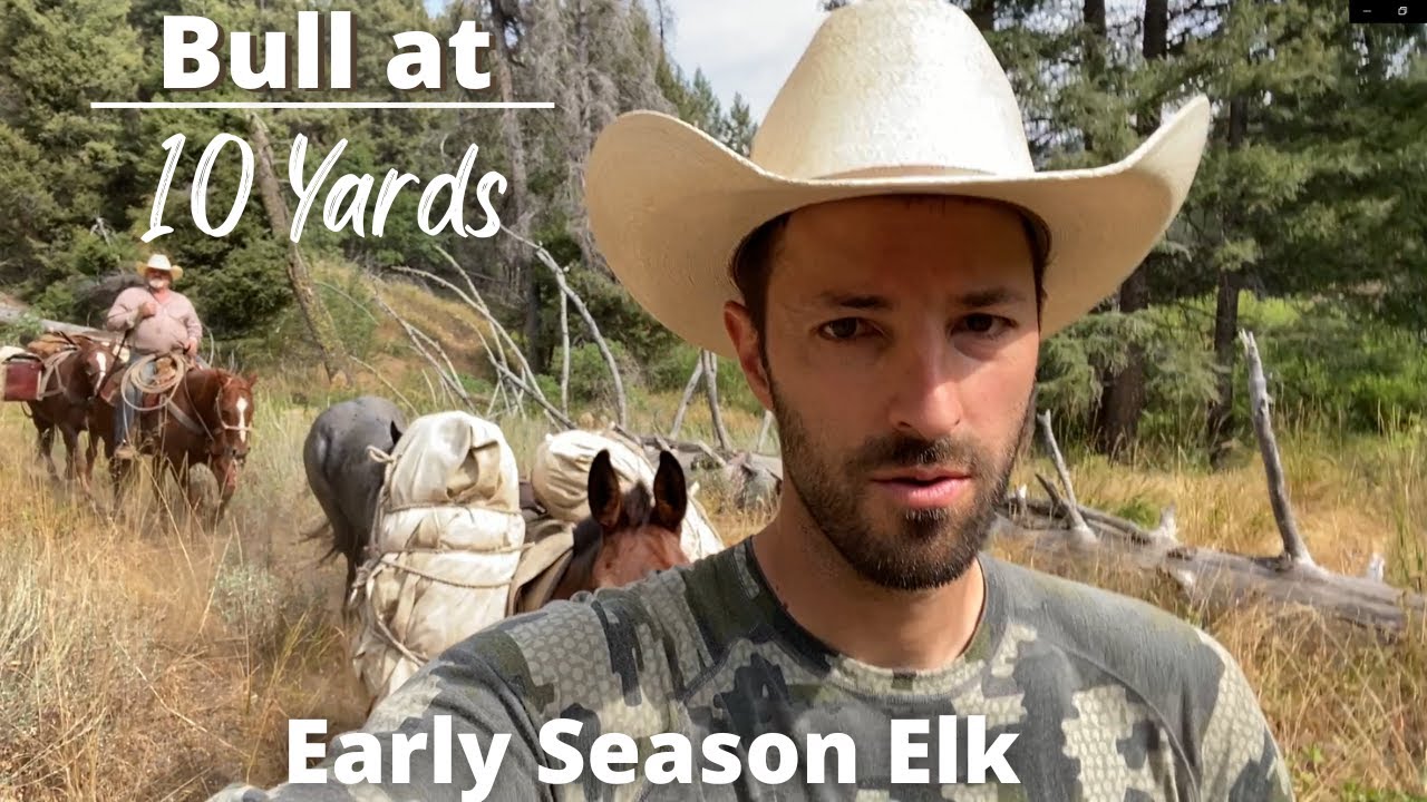 Early Season Elk - Bull at 10 yards - YouTube