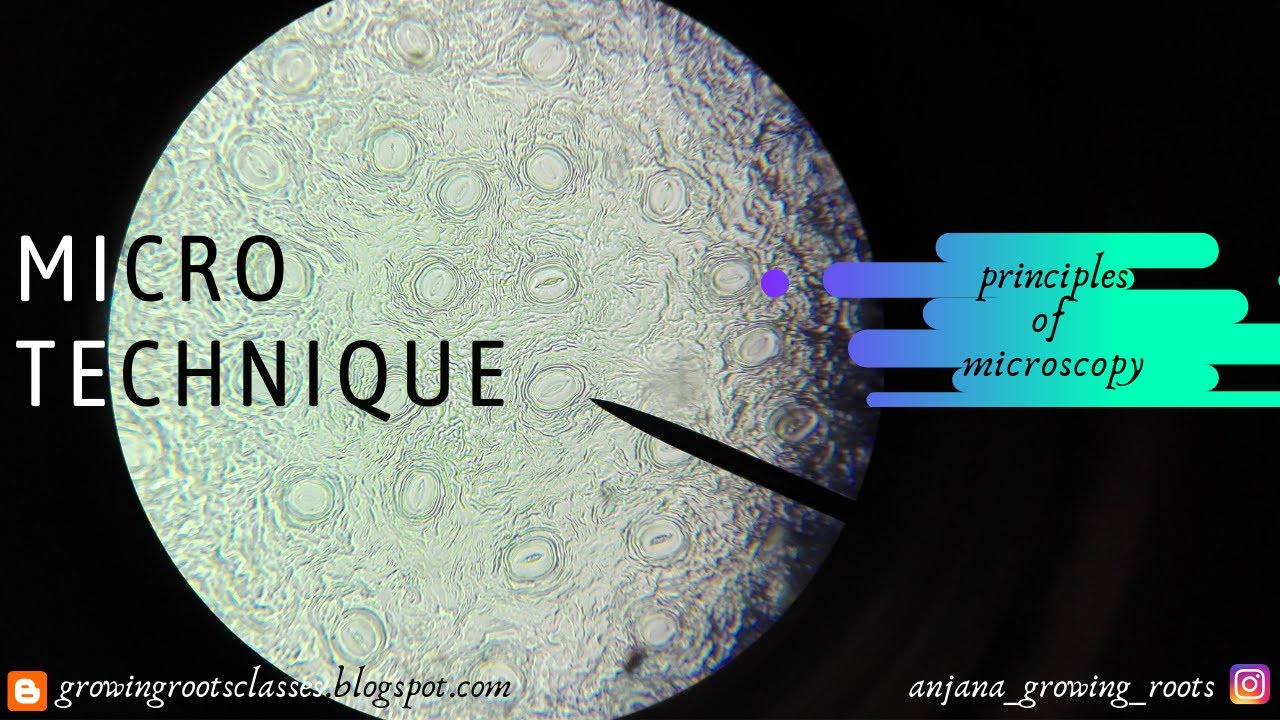 PRINCIPLES OF MICROSCOPY - MALAYALAM | Magnification Of Microscope ...