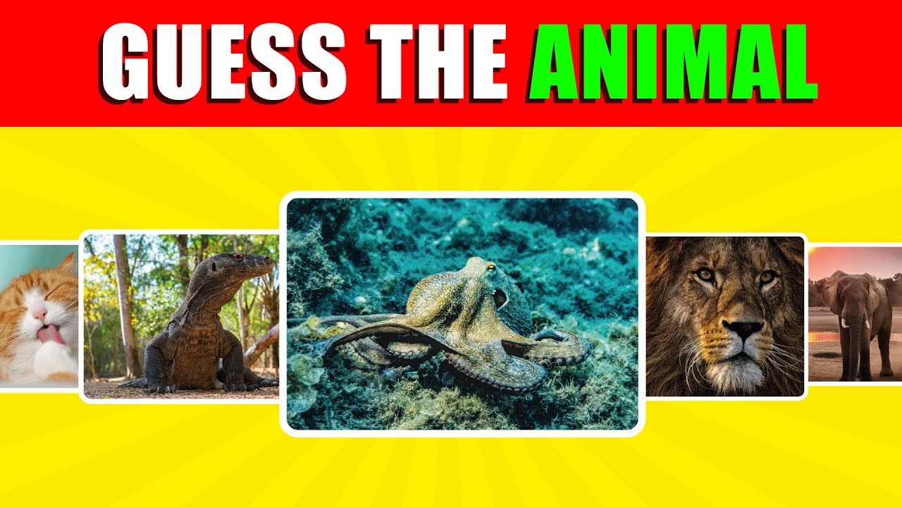 GUESS THE ANIMAL 🦁🧠 | Easy, Medium, Hard | Can you guess the animals by ...