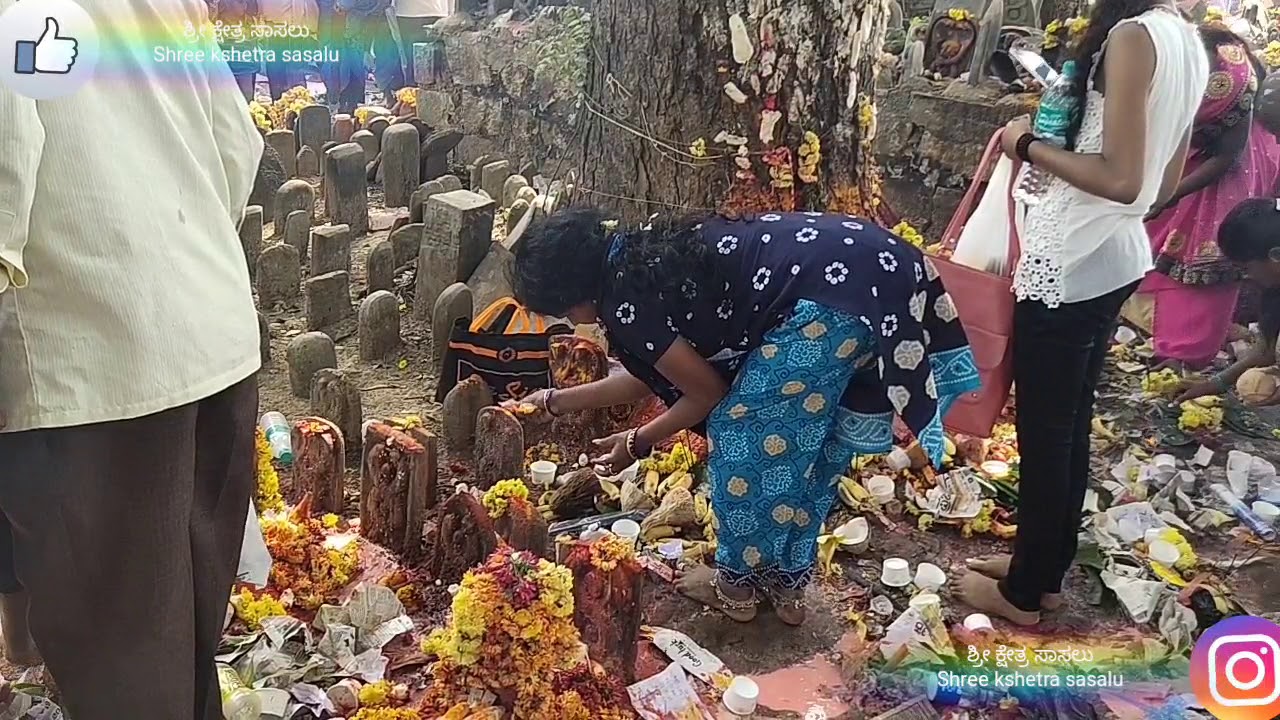 ಶ್ರೀ ಶಂಭುಲಿಂಗೇಶ್ವರ ದೇವಾಲಯ ಶ್ರೀ ಕ್ಷೇತ್ರ ಸಾಸಲು Shree shambulingeshwara ...