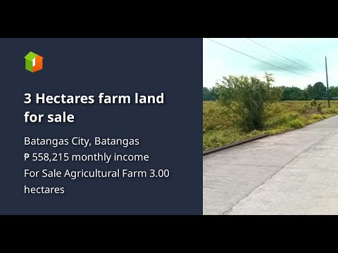 3 Hectares farm land for sale - YouTube