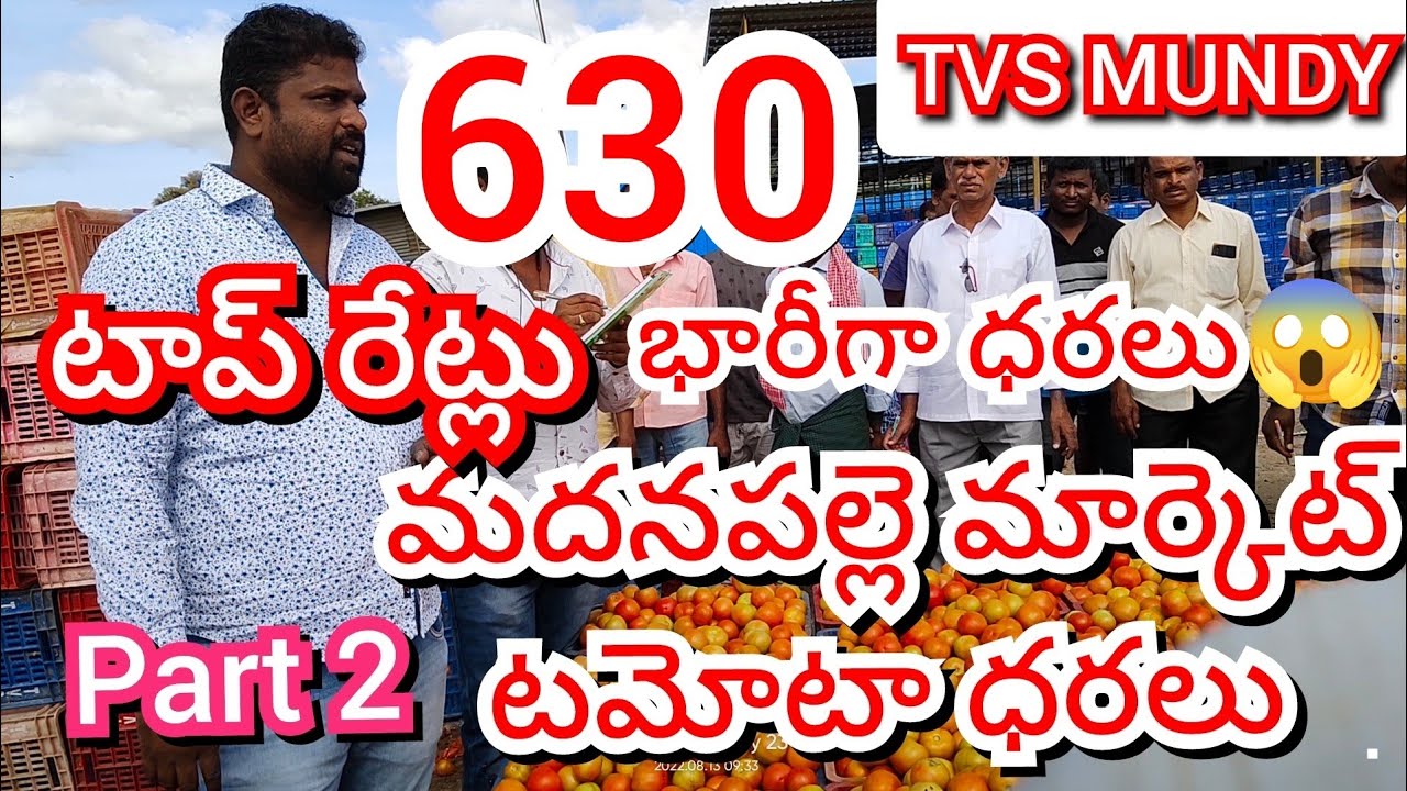 07-09-25 Madanapalle Tomato Market price Today || Today Tomato Market ...