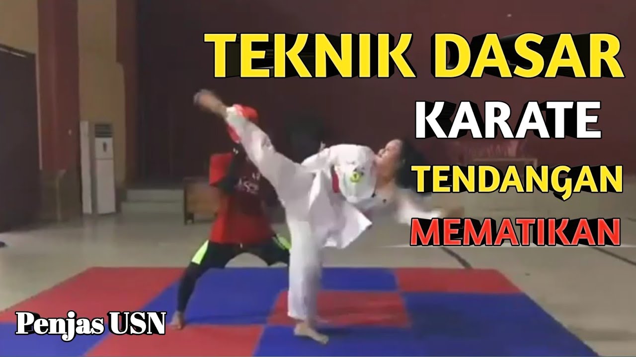 Teknik Dasar Karate | Tutorial Tendangan Yang Benar || USN Kolaka [Part ...