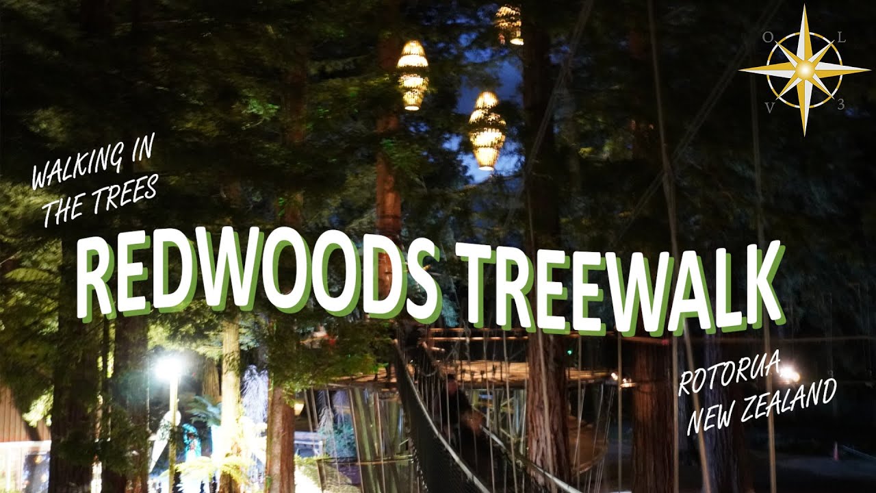 Our Favorite Walk in the Trees in New Zealand | Redwoods Treewalk ...
