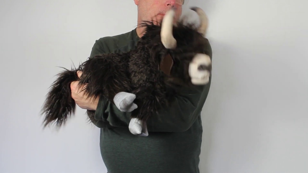 3150 Yak Handpuppe - FOLKMANIS-PUPPETS - YouTube