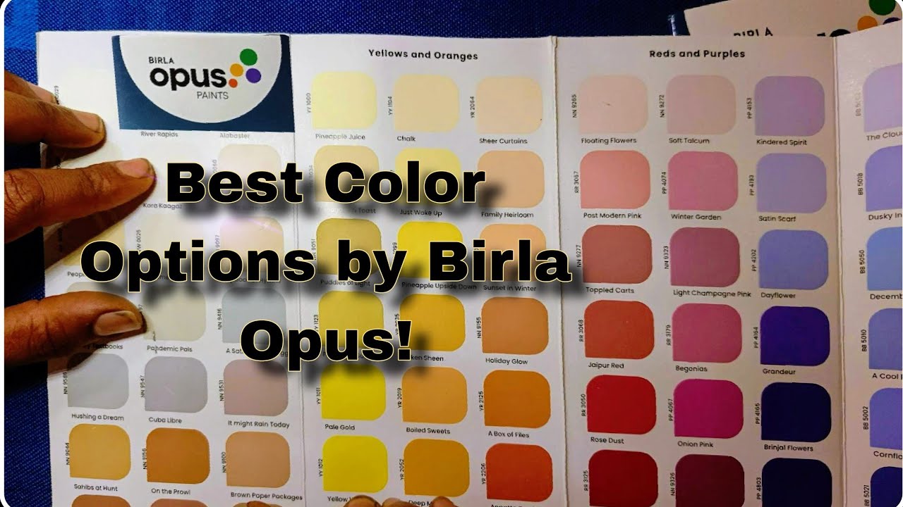 Opus Paints Color Catalogue: Full Review & Best Shades! - YouTube