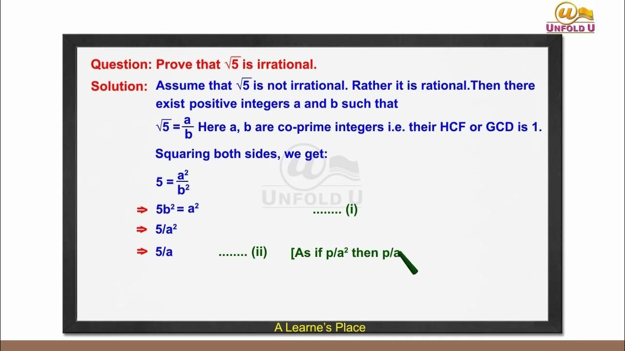 Ch 1 - Real Numbers | Ex 1 3, Question 1 - YouTube