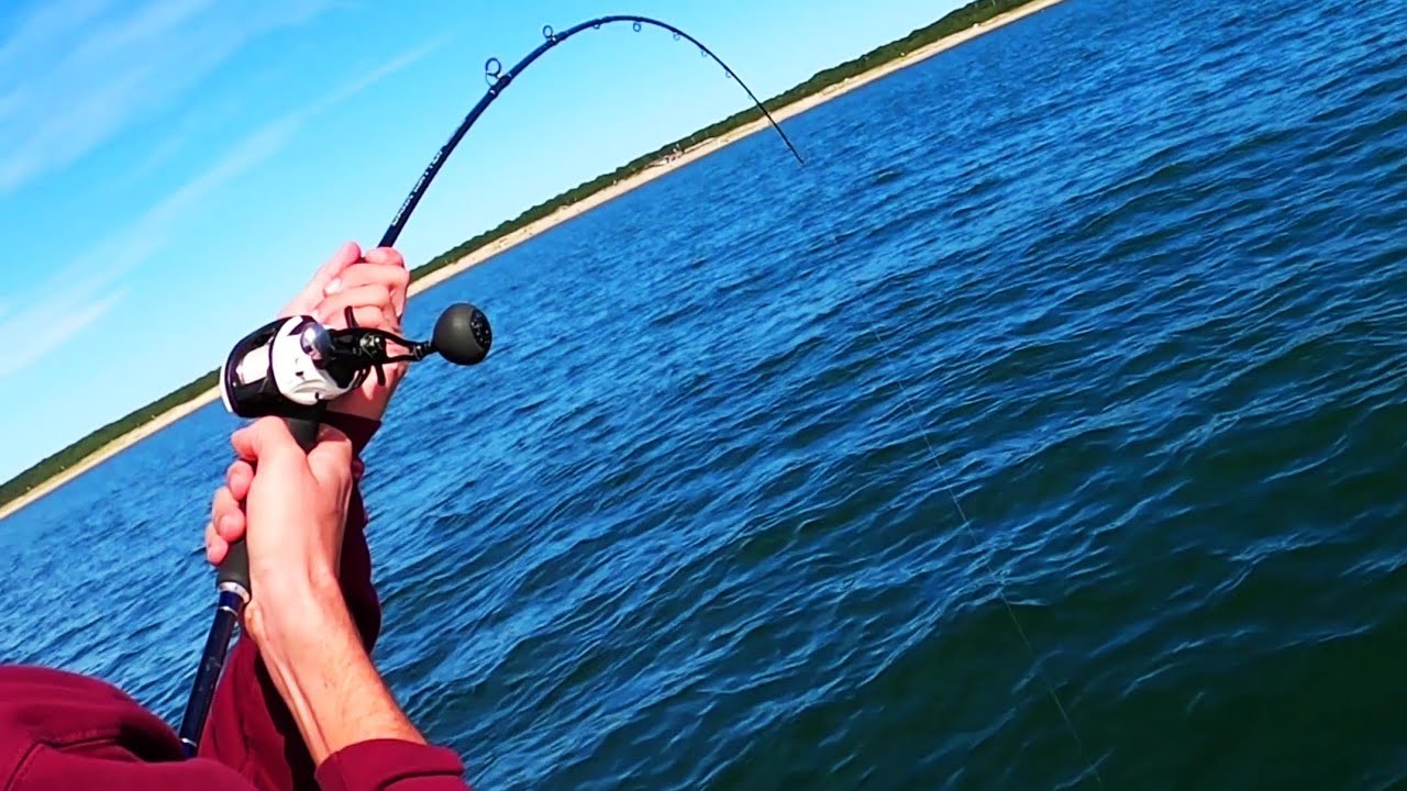 Jig Fishing Tutorial Trip - INSANE Bite Near Beach Double+ Limit! - YouTube