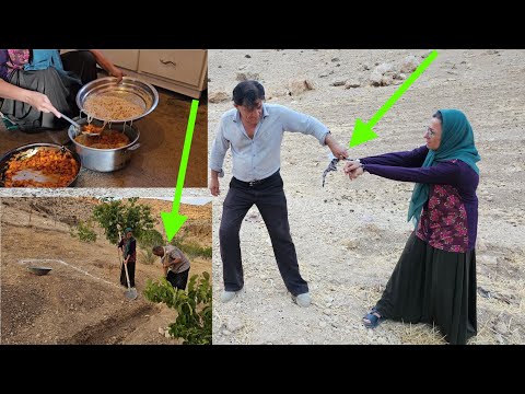 Zahra's exhusbandforced hertosignthe operator resistedbutZahra was taken away andBahram arrived late