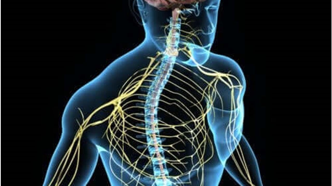 O que é a síndrome de Horner? - YouTube