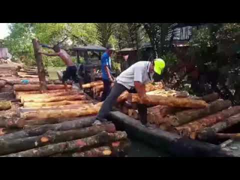 Membuat Arang Bakau. Making Mangrove Charcoal - YouTube