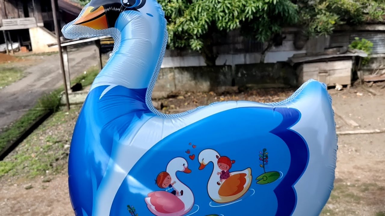 Woww!!! Keren Menemukan Balon Angsa Lucu #short - YouTube