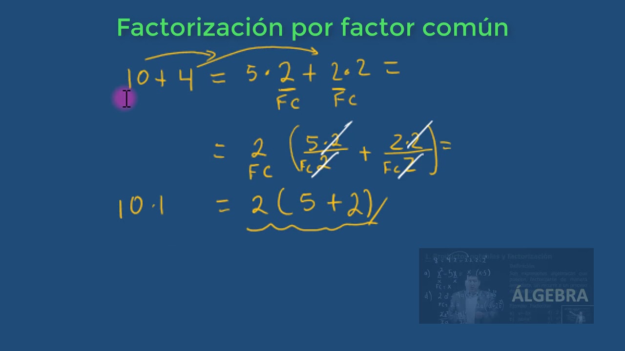 Factorización por factor común - YouTube