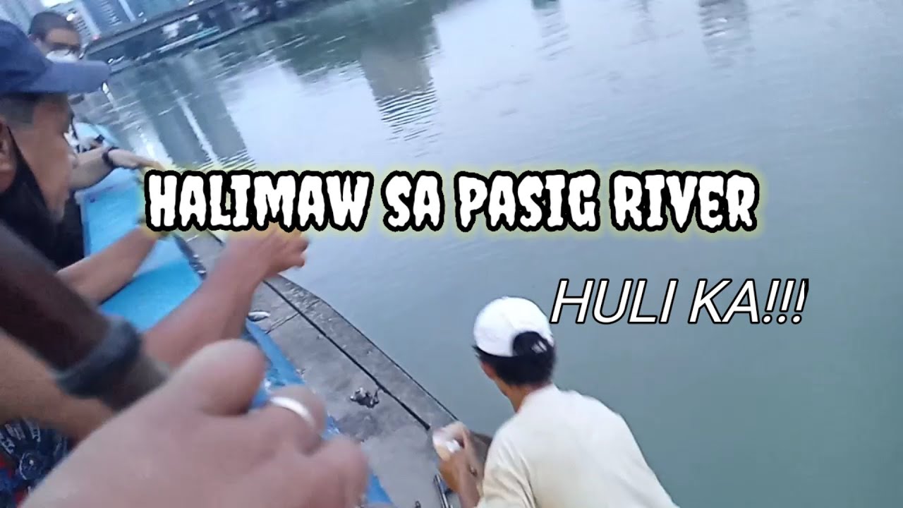 CREAM DORY SA ILOG PASIG | RIVER MONSTER | PASIG RIVER PHILIPPINES ...