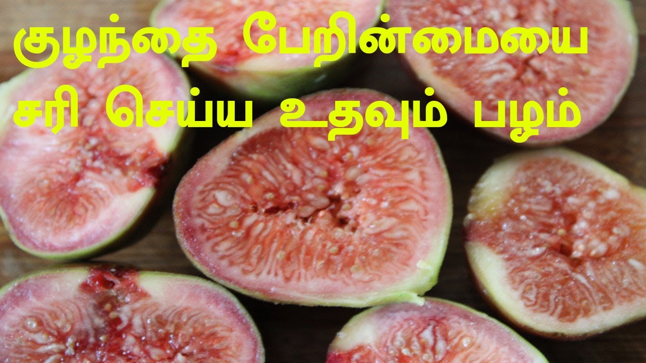 Benefits Of Fig Fruit In Tamil Tamil Anjeer Uses In Tamil Tamilneithal benefits-of-fig-fruit-in-tamil-tamil-anjeer-uses-in-tamil-tamilneithal
