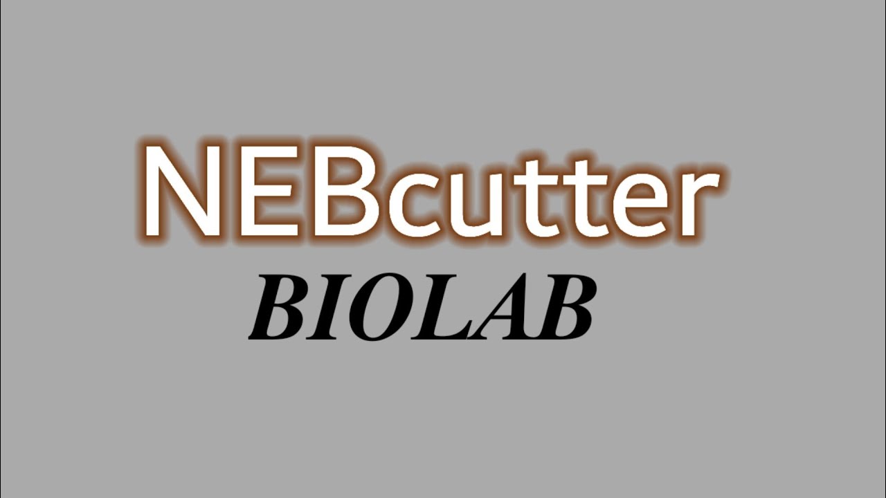 Finding cutting enzymes through the site NEBcutter/إيجاد إنزيمات القطع ...