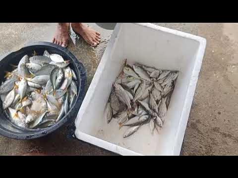 PANGBINTA NG NAHULI KUNG ISDA, MAGKANO KAYA ANG KINITA KO! #fishing - YouTube
