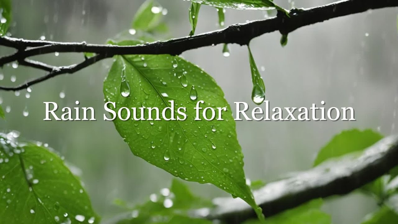 12 Hours of Relaxing Music with Rain Sound, Piano Music for Sleep - YouTube