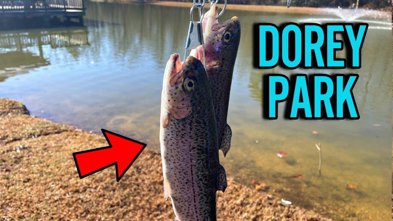 DOREY PARK URBAN WATERS PROGRAM VIRGINIA! CATCHING RAINBOW & BROWN ...