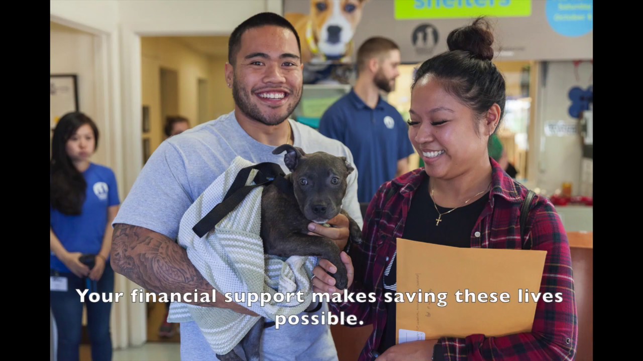 A Berkeley Humane rescue - thanks to you! - YouTube
