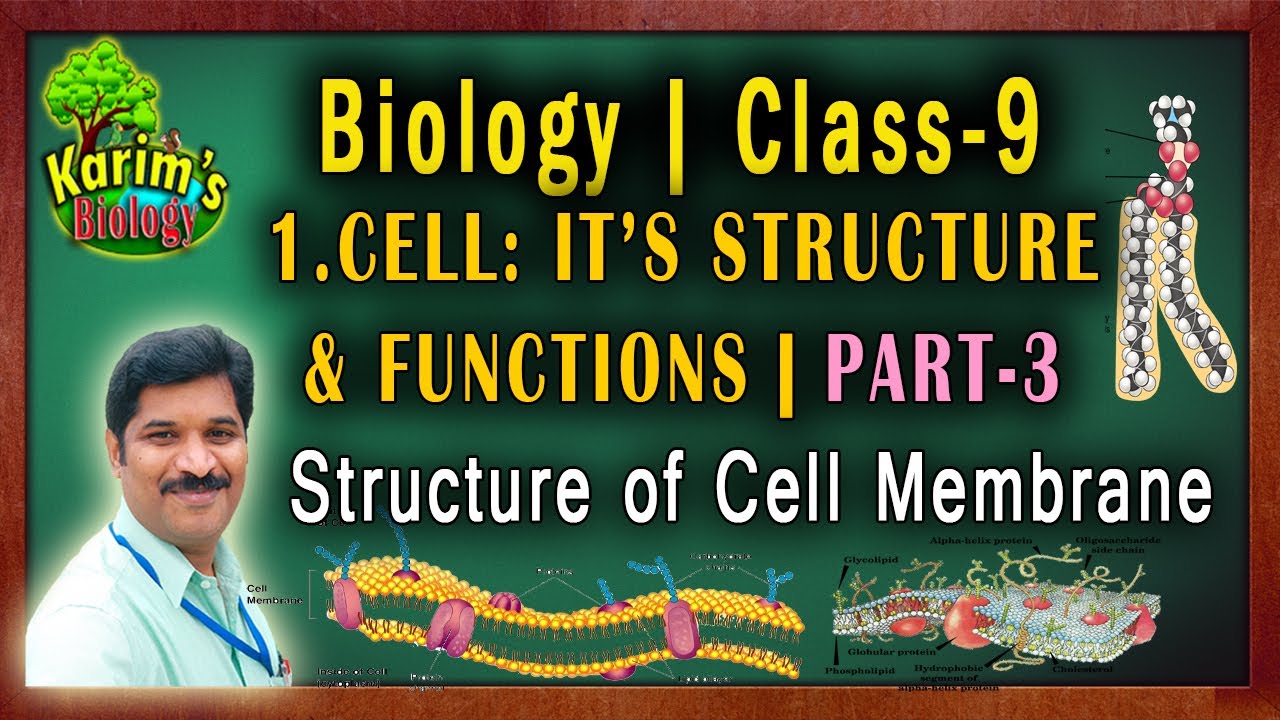 Class-9 || Biology || Cell: Its Structure and Functions || Part-3 ...