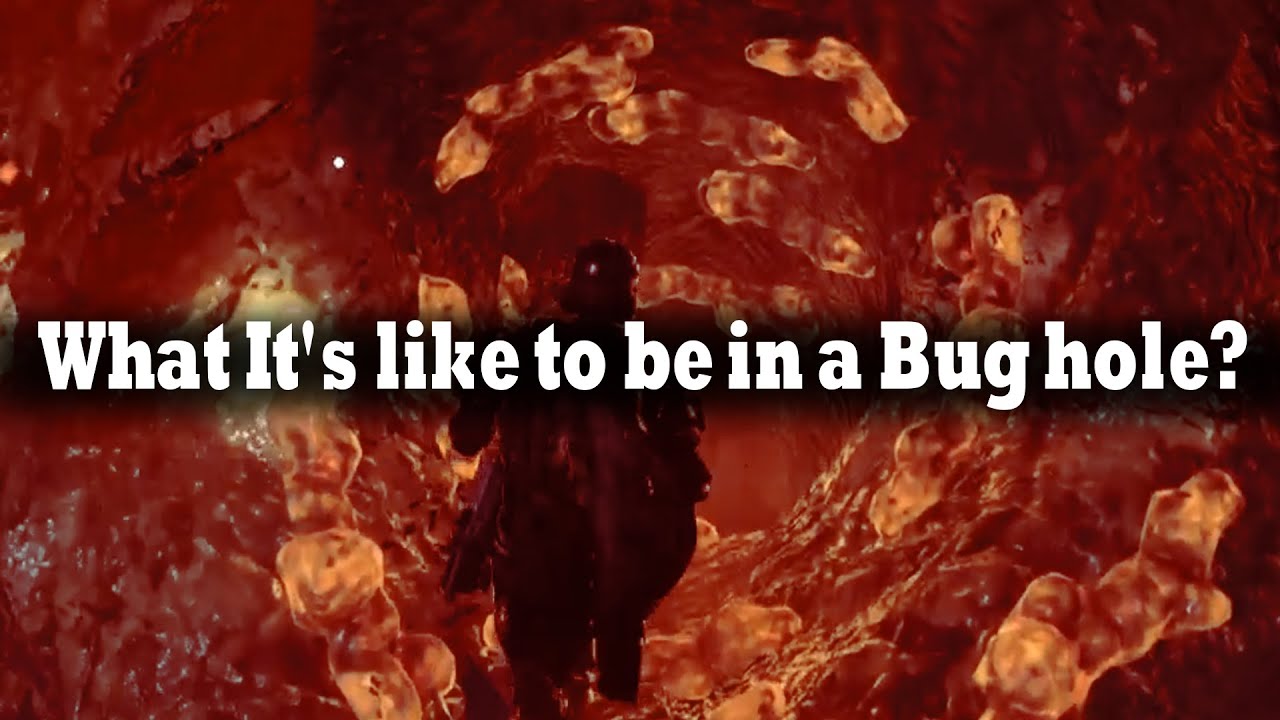 What it's like to be in a bug hole? - YouTube