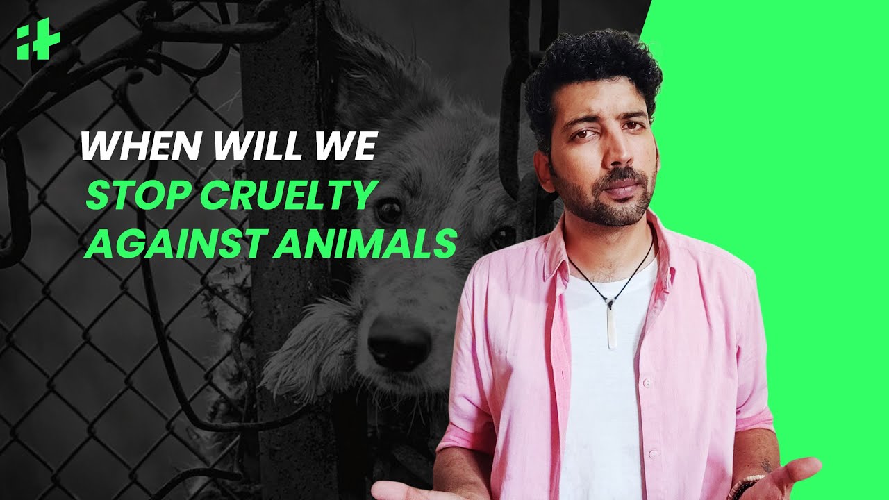 When Will We Stop Cruelty Against Animals | IT Explains | PETA - YouTube
