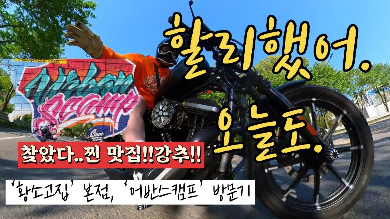 모토로그 할리데이비슨 아이언883 반스앤하인즈 숏샷 바버커스텀feat브레이크이웃and팻밥 숨은 찐 맛집 그리고 핫한 바이크