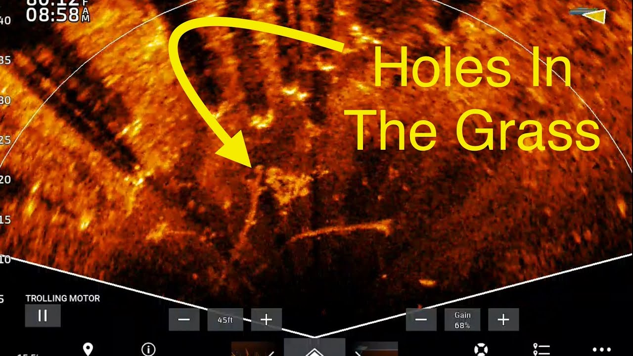Garmin Livescope: How I Use Perspective Mode For Better Topwater ...