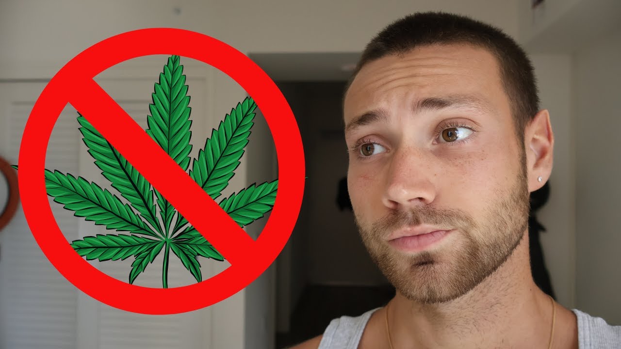 How I Quit Smoking Weed After 7 Years (And Why I’m Never Going Back ...