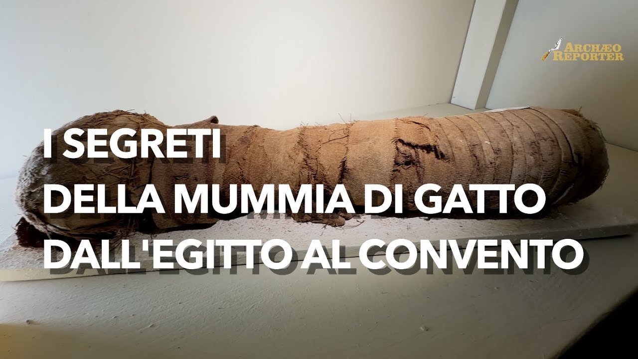 I segreti della mummia di gatto Egizio a Fiesole, la scienza conferma ...