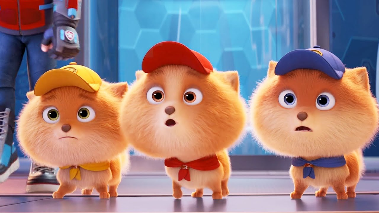 Junior Patrollers Nano Mini and Tot Meet Everyone and Telescope - PАW ...