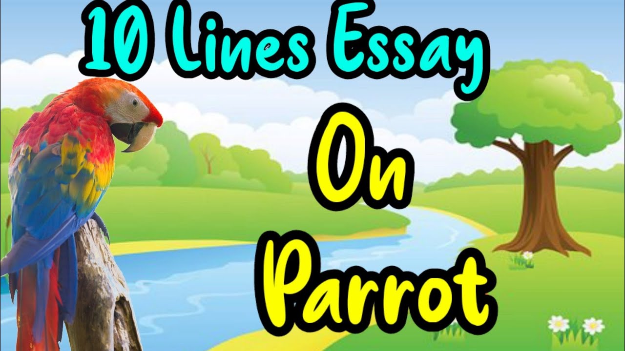 PARROT ESSAY | parrot in English | Parrot | - YouTube