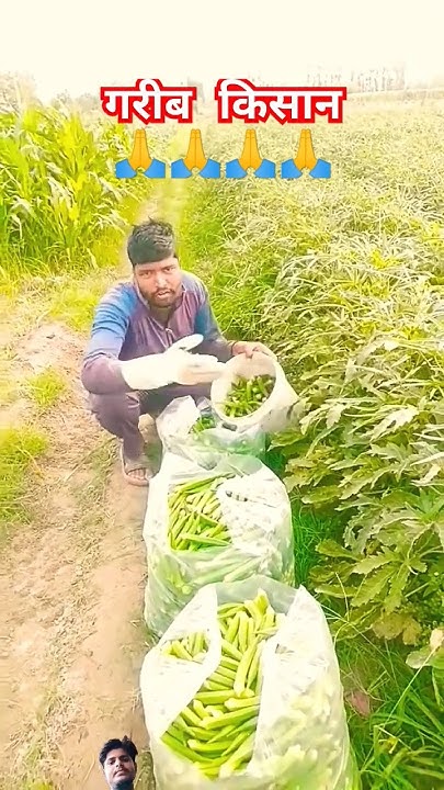 #funny #kishan #comedy #123kishan #kisan #farming #farmer #voiceeffects #duet #viralvideo # ...