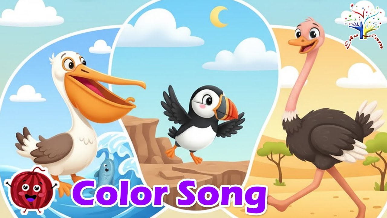 Pelican, Puffin, and Ostrich Song | Funny Birds Around the World! - YouTube
