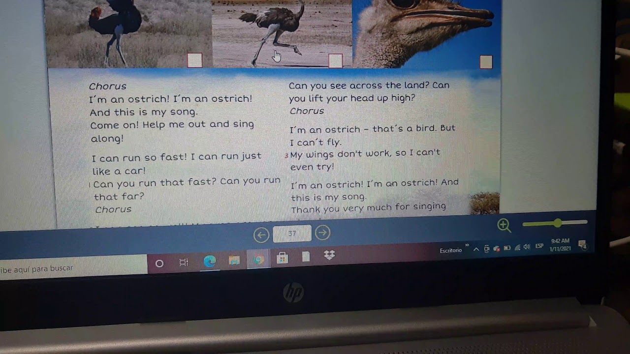 3rd - Grade- page 37. The Ostrich Song. - YouTube