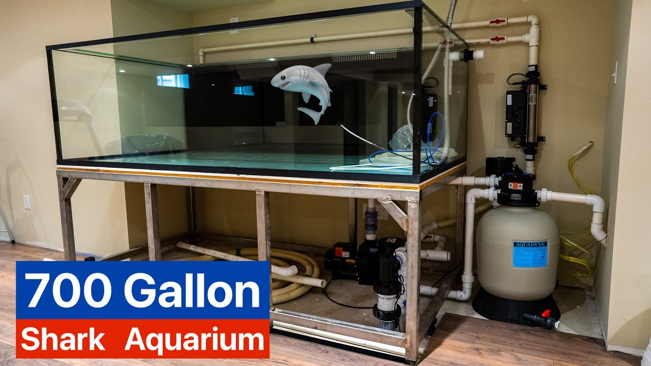 700 Gallon Shark Aquarium - YouTube