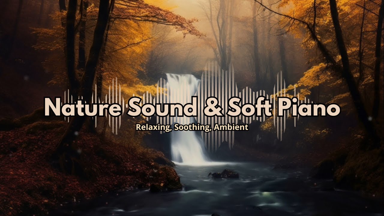 Nature Sounds | Quiet piano waves | Relaxing Music, Peaceful Music ...