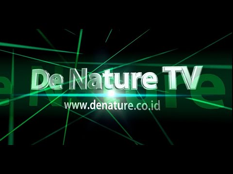 PENJELASAN MENGENAI ABSES PAYUDARA 'PAYUDARA MONTOK DAN BERISI BUKAN BERARTI SEHAT'