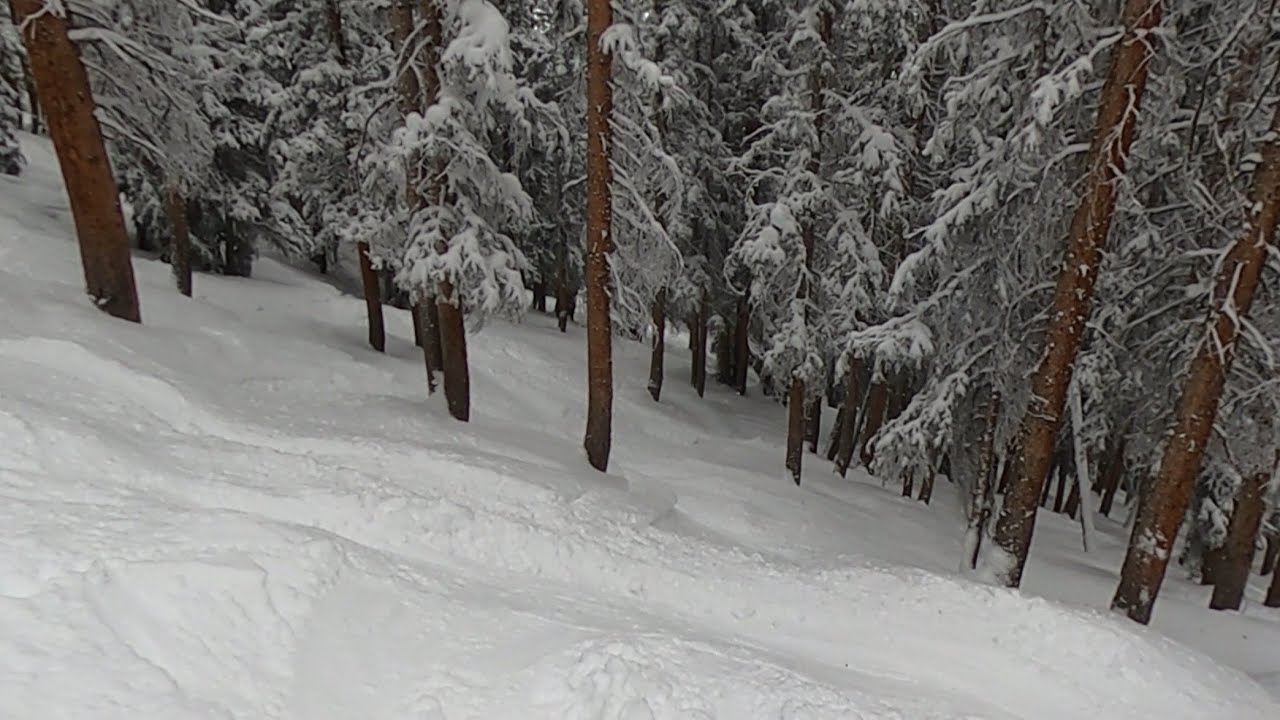 EXTREME STEEP TREES: Temerity Aspen Highlands - YouTube