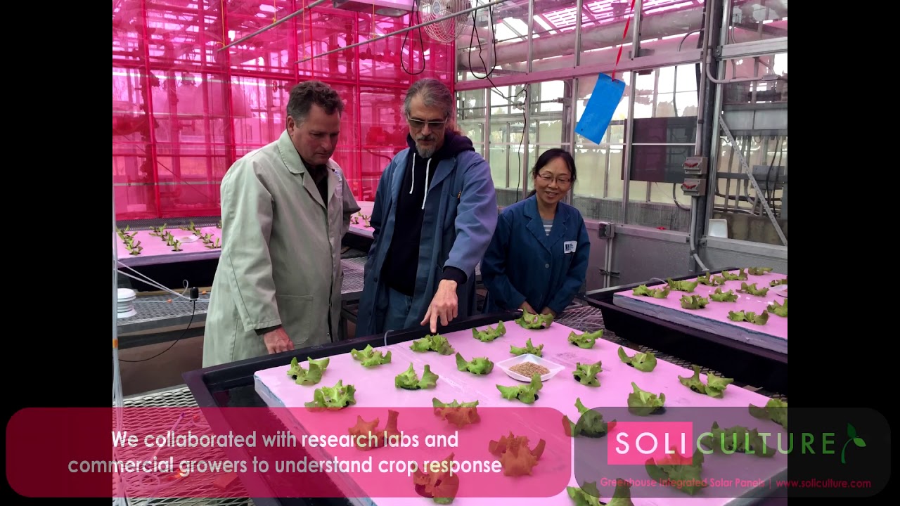 Soliculture - Solar Panels for Plant Growth - Greenhouse Integrated ...