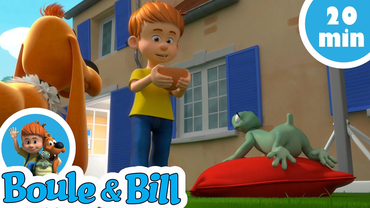 Boule et Bill viennent aider les autres 😍- Nouvelle compilation Boule ...