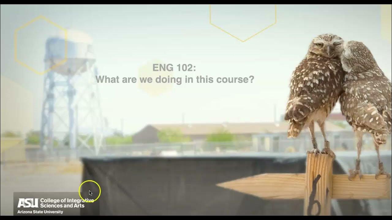 What will we be doing in the course? - YouTube