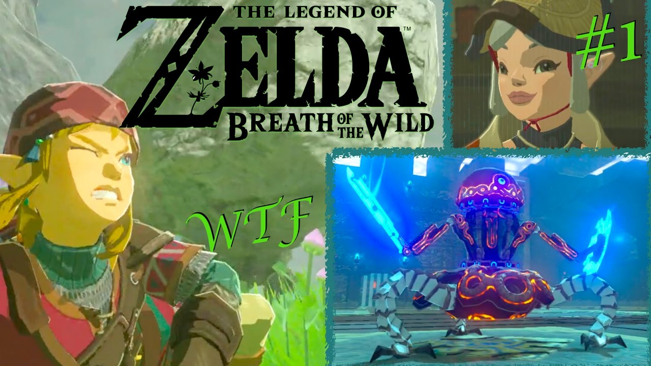 Breath of the Wild "Funny/Legit" Highlights [BotW Stream Moments #1 ...