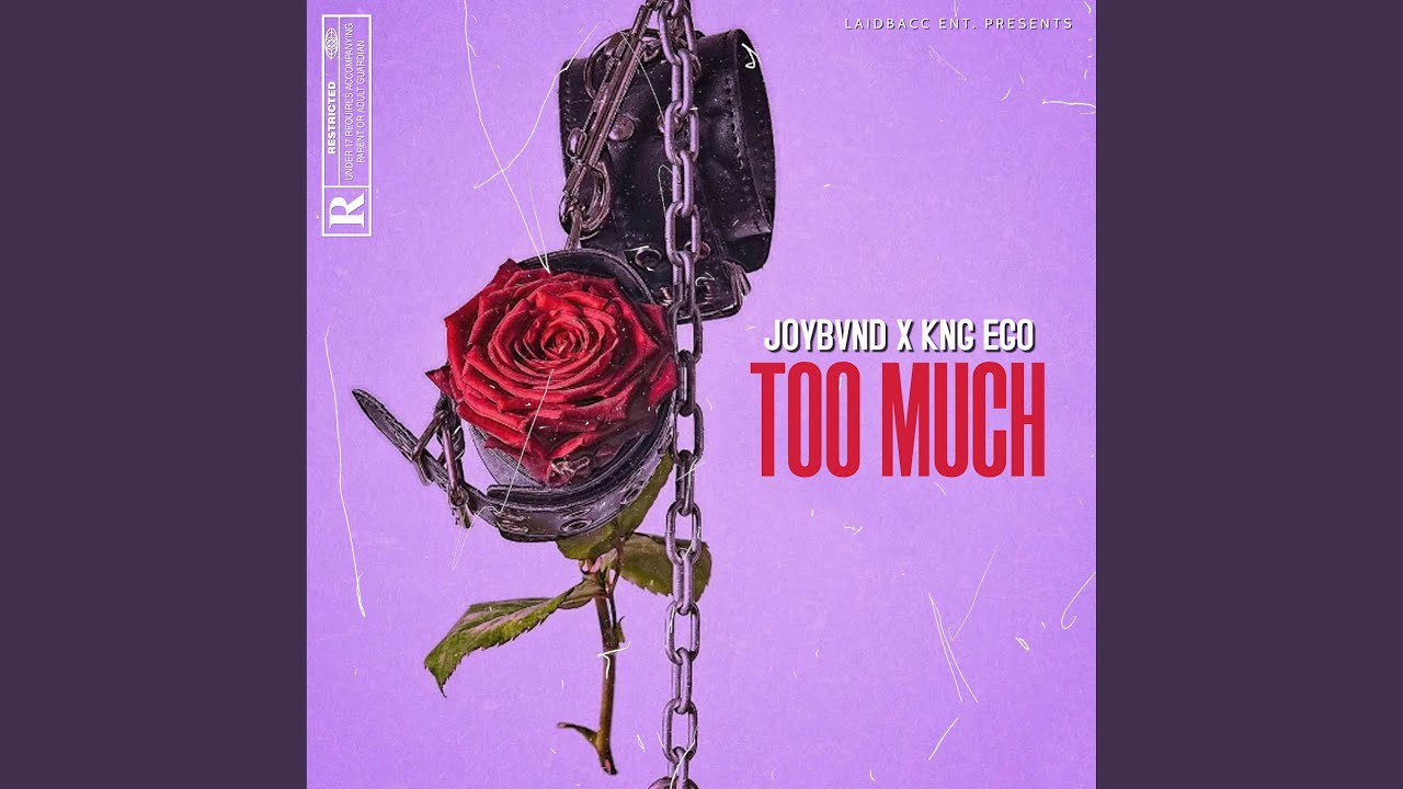 Too Much - YouTube Music